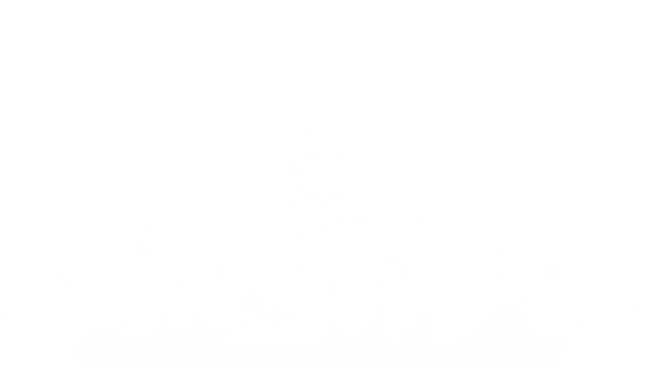 The Doll Maker Story